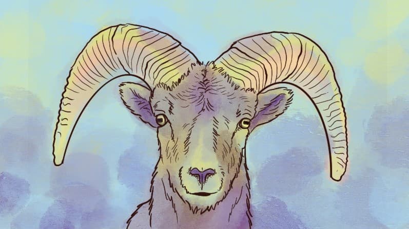 Play Dungeons & Dragons 5e Online | Vengeance of the Ram: Wild Sheep Chase