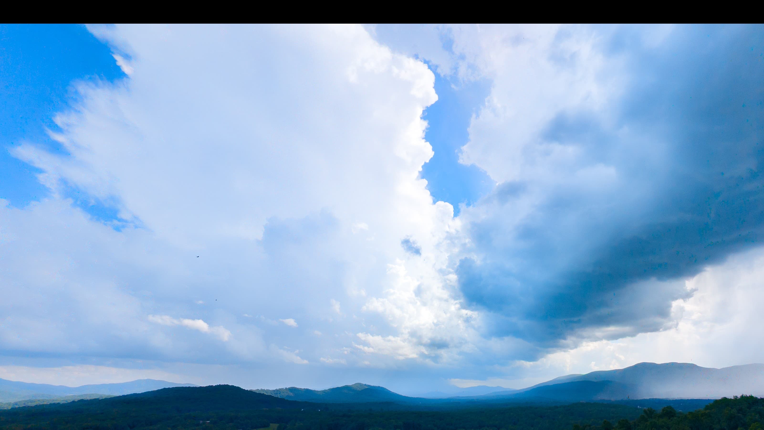 Join Jungle of a Thousand Tombs - Foundry VTT - Dungeons & Dragons 5e ...