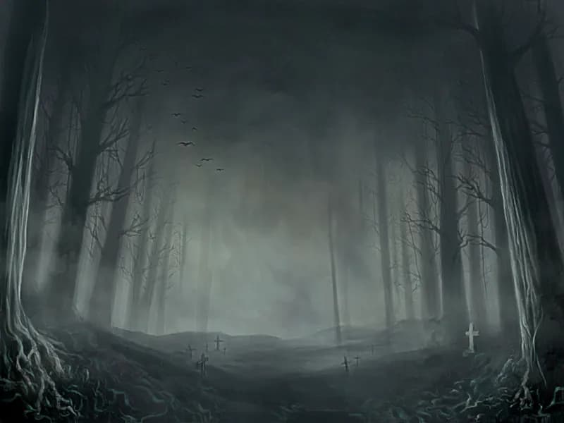 Play Dungeons & Dragons 5e Online | The World behind the Mist (Curse of ...