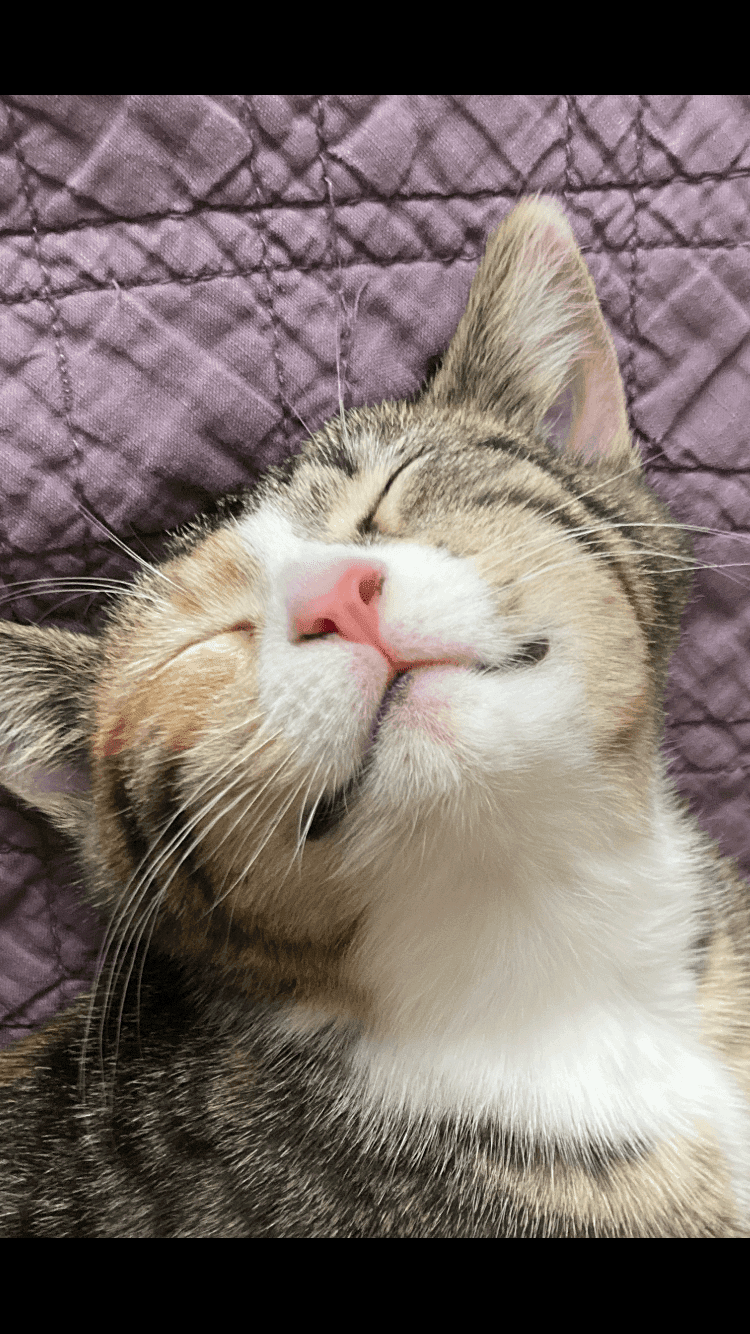 Professional Game Master - Cale (Cali) | StartPlaying