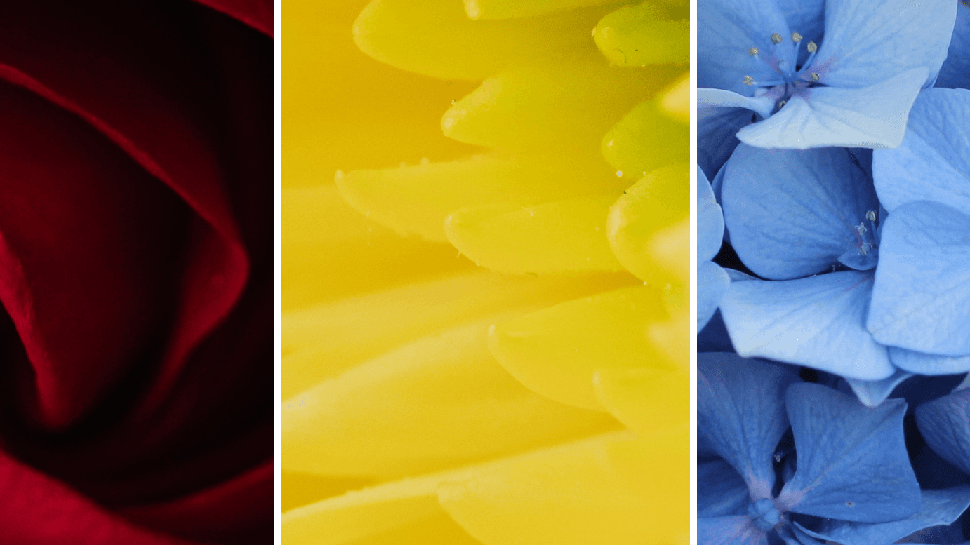 Join The Tale of Three Houses - Roll20 / Discord - Thirsty Sword ...