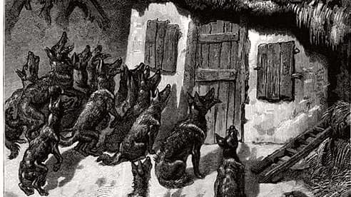 Join The Wolves Of Aodh: BEGINNER FRIENDLY D&D 5E - Discord / D&D ...